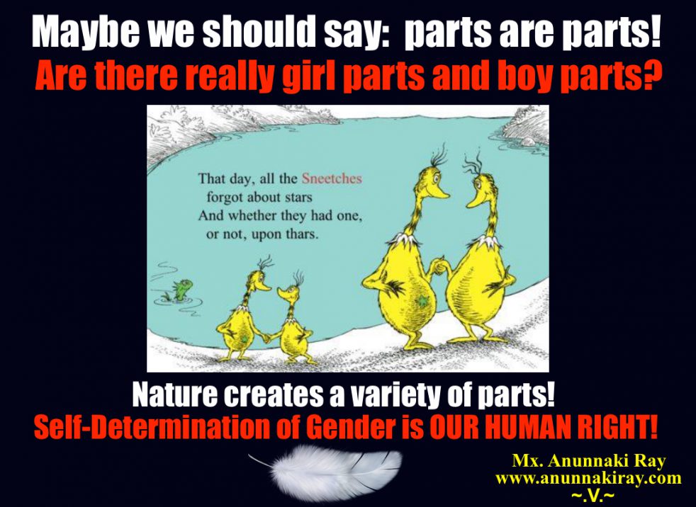 Five ways I show that the Male/Female Binary is a Myth, and a Social ...