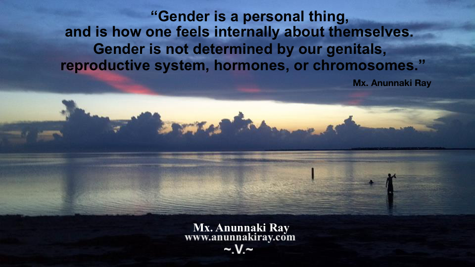 Gender is a Personal Thing, not in our genitals, reproductive system ...