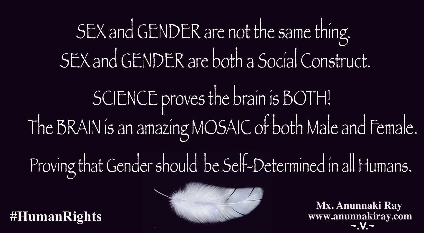 Sex And Gender Are A Social Construct The Mosaic Brain Mx Anunnaki 4946